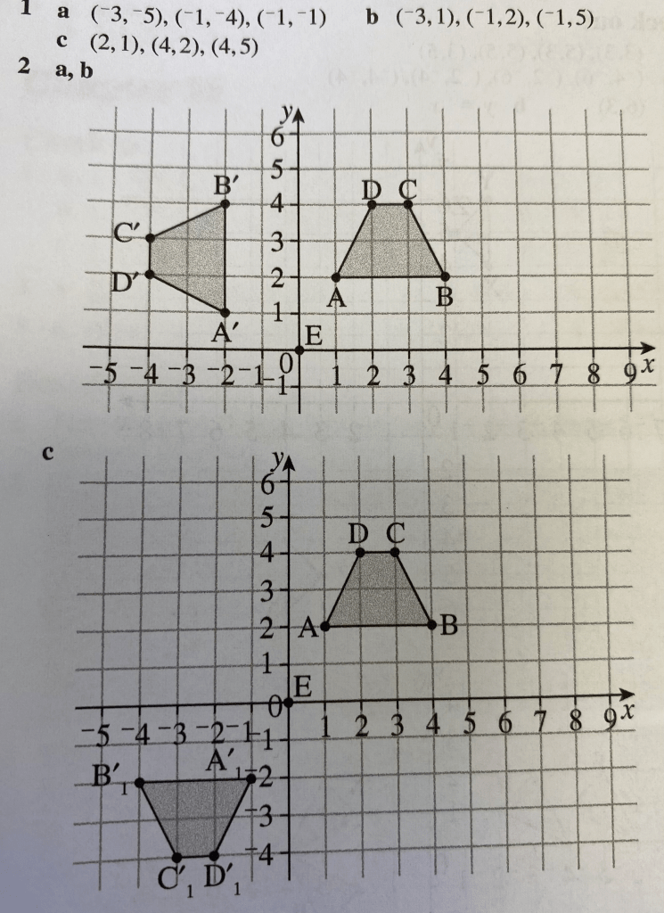 Y9. Shape & Space. Combined Practice – Geometrical Transformations – Maths with David