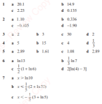 9709. P3. Logarithmic & Exponential Functions – Maths with David