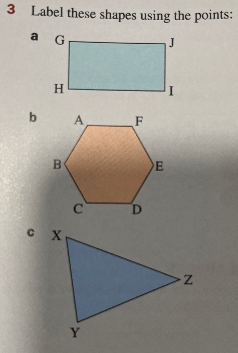 Year 7. Lines & Angles – Maths with David