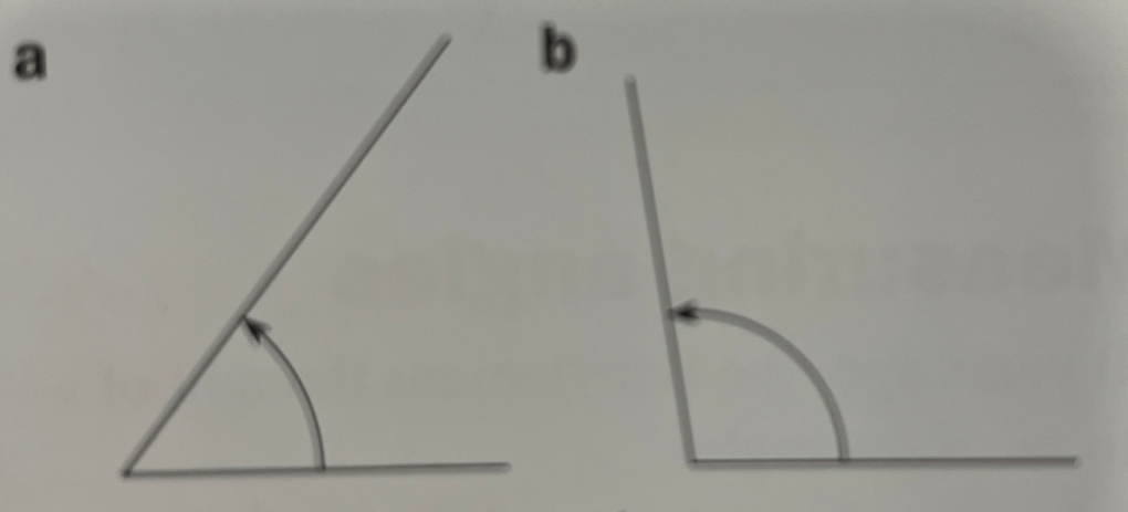 Year 7. Lines & Angles – Maths with David