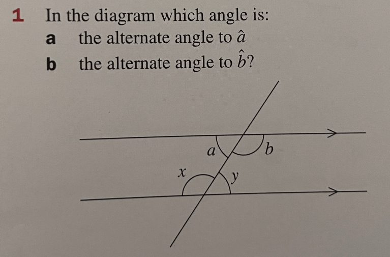 Year 7. Angles in parallel lines – Maths with David