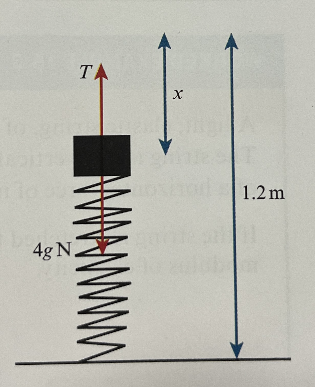 9231. Mechanics. Hooke’s Law – Maths with David