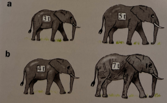 Year 7. Introducing Ratios – Maths with David